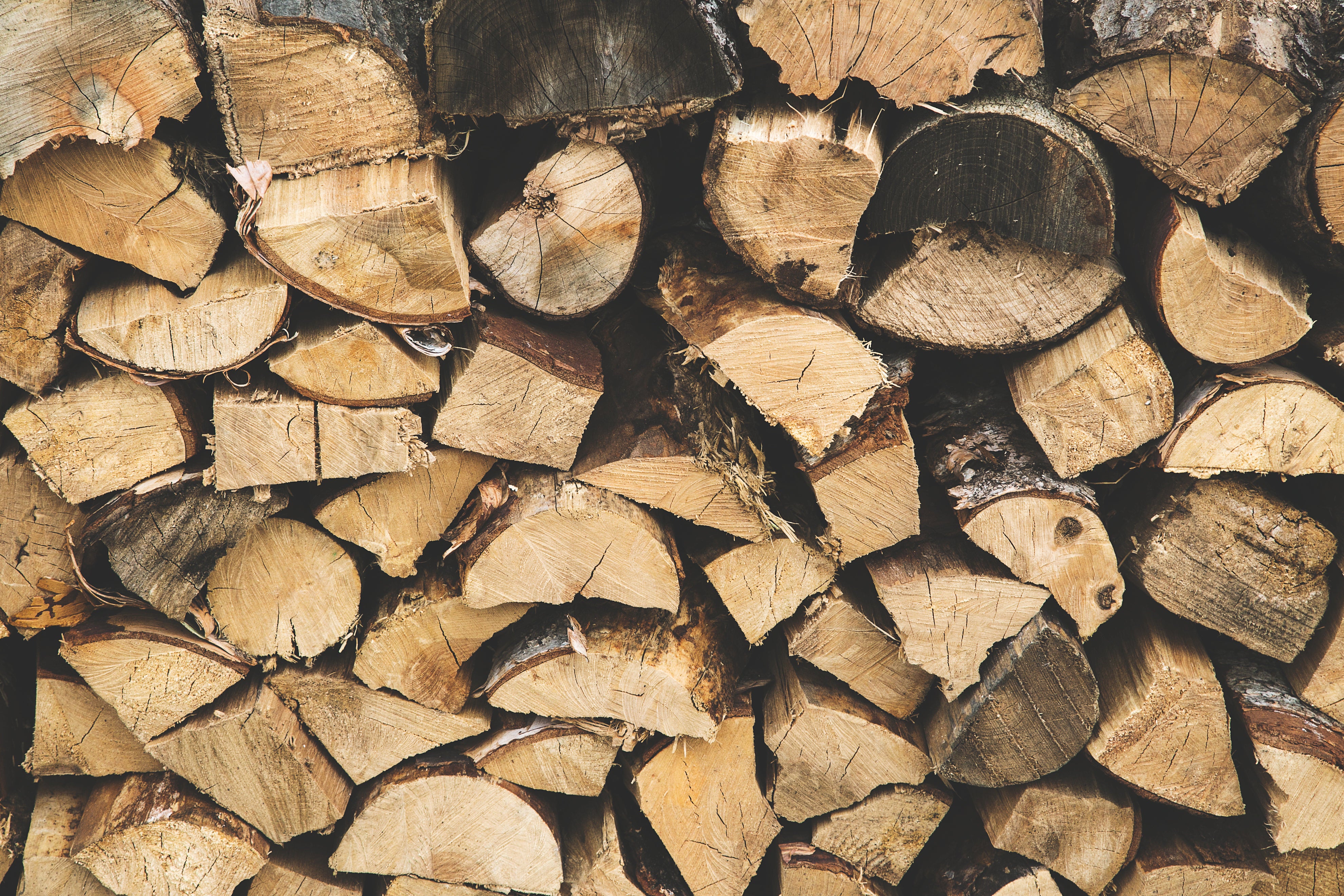 Kiln Dried Firewood – Wood Boss Muskoka