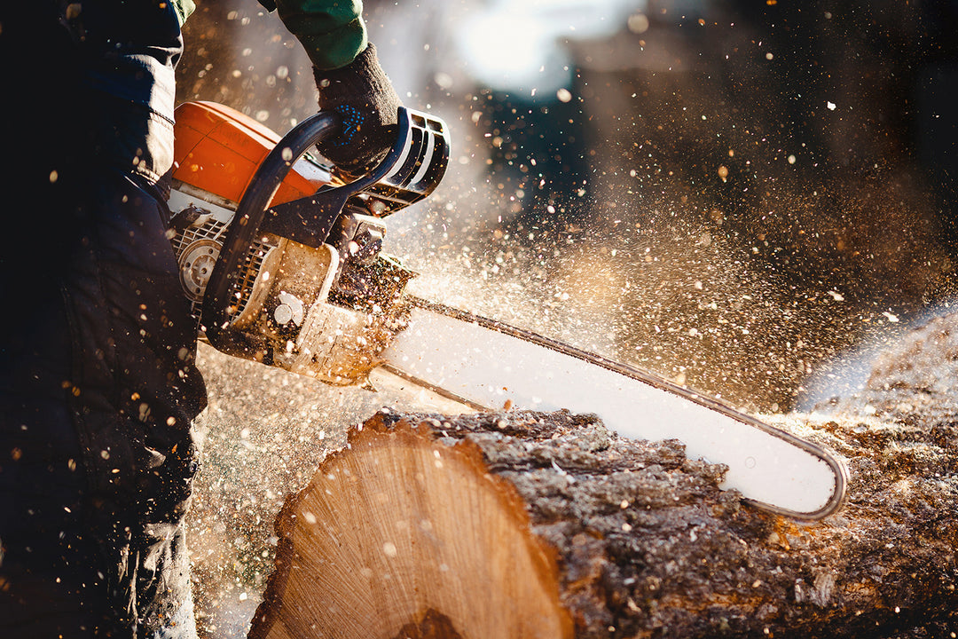 Cut to Order Hardwood Firewood (Green) – Wood Boss Muskoka